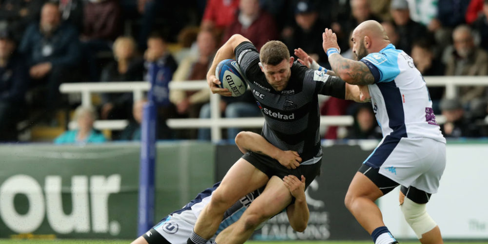 Mark Wilson pledges his future to Newcastle Falcons with long-term ...