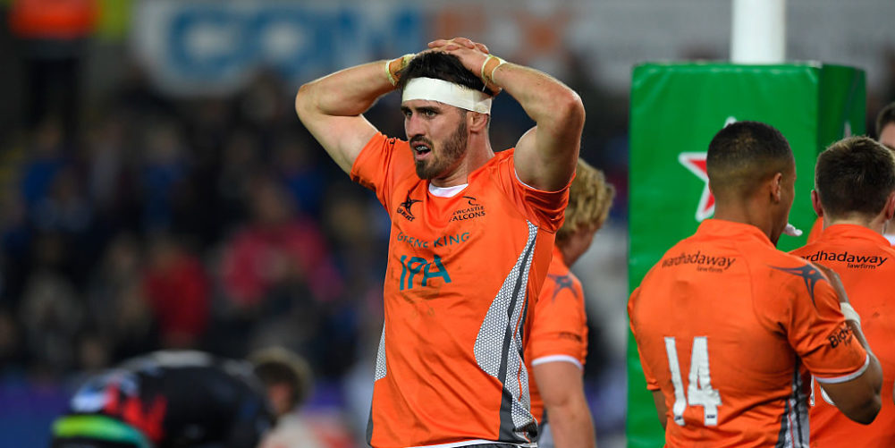 Dream Team: Bedford Blues flanker Daniel Temm