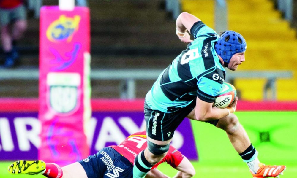 Alun Lawrence enjoying his whirlwind return at Cardiff