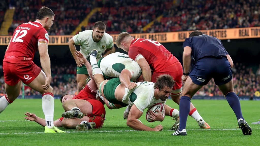 Wales 0-73 South Africa: Steve Tandy’s pointless side put to shame in ...