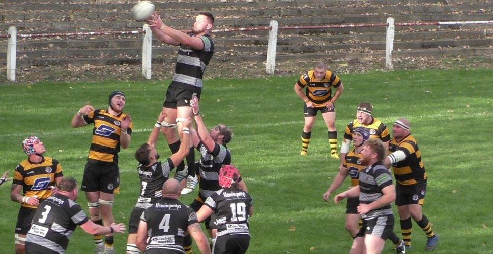 Zebras maul the off-colour Tigers