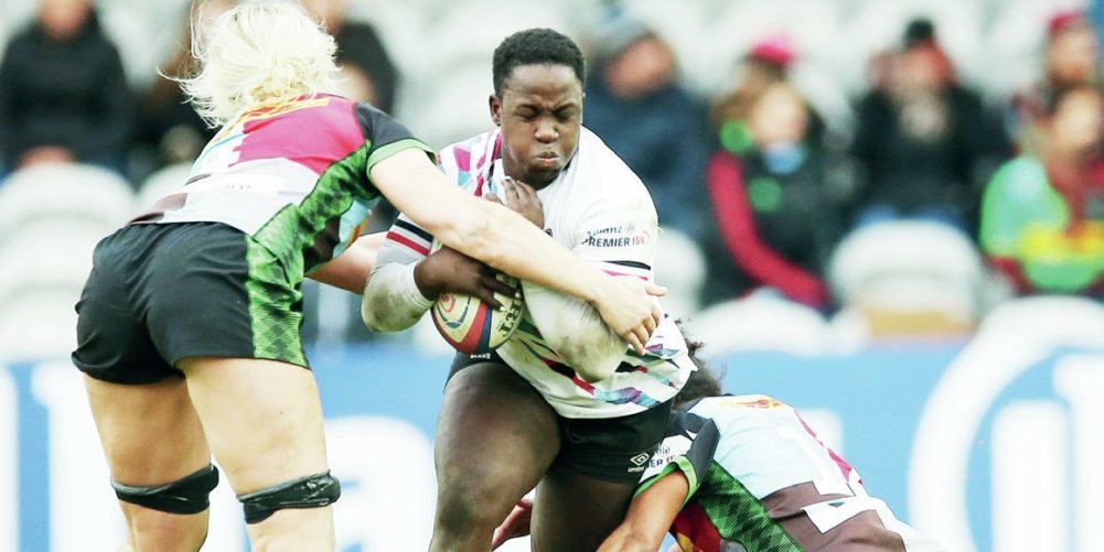 Bears just pipped by local rivals