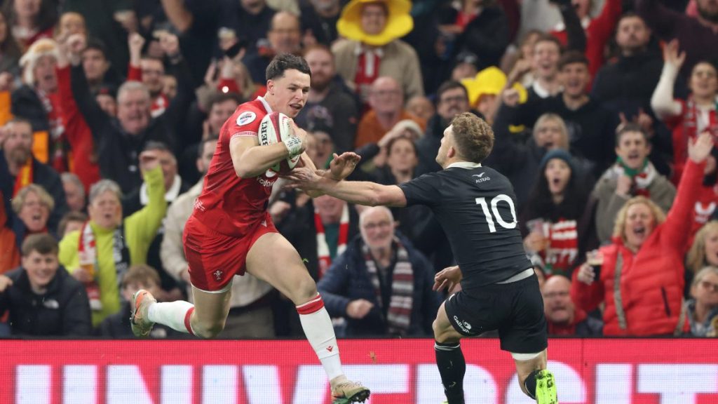 Wales 26-52 New Zealand: Steve Tandy’s side are down but far from out