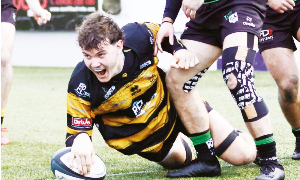 Hornets get a buzz about safeguarding their Nest