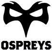 Ospreys fail to land late winner